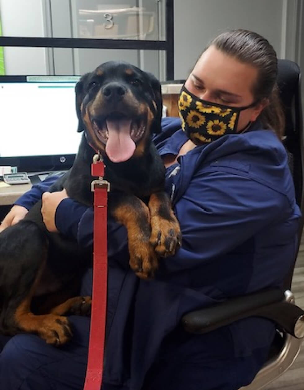 Contact Us | Garners Ferry Animal Hospital